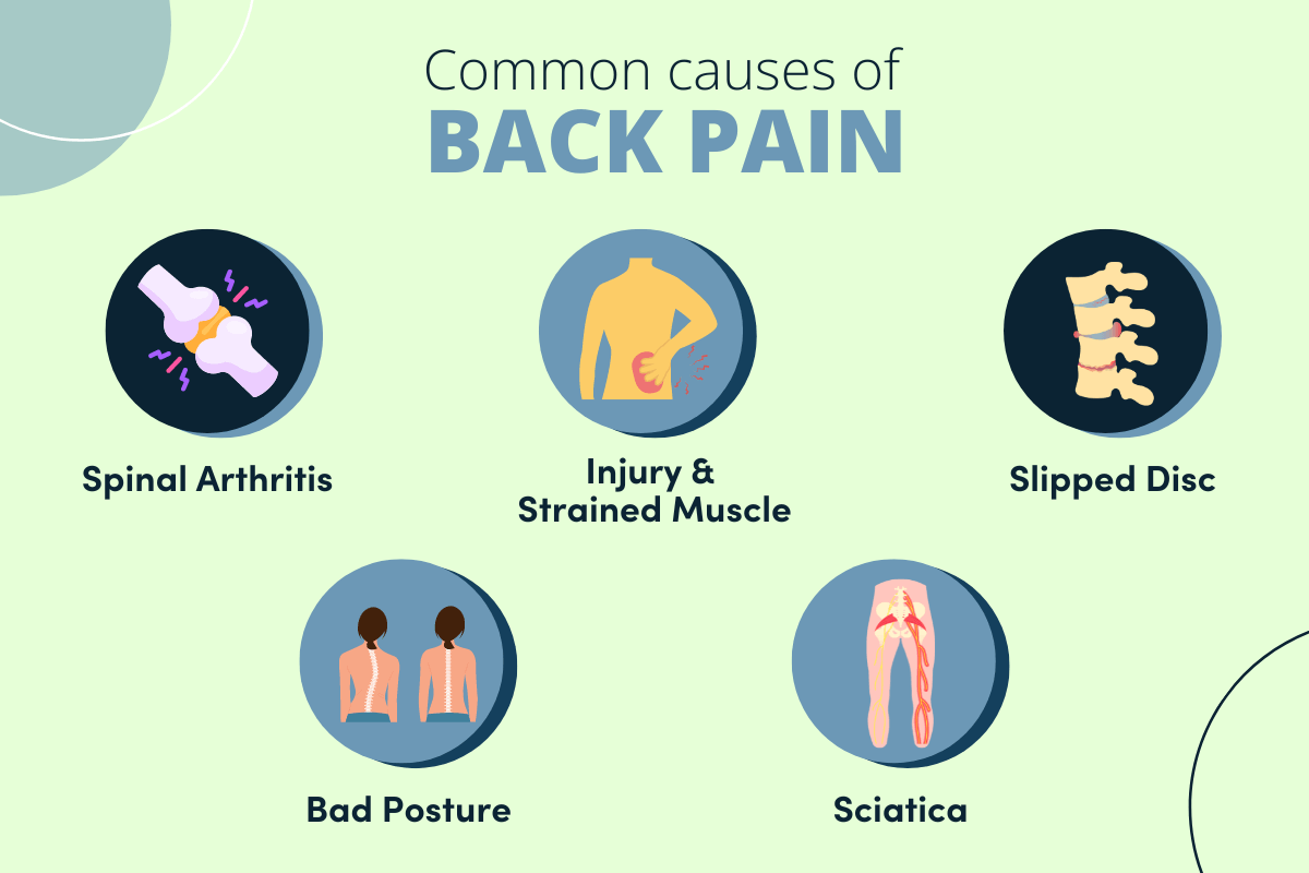 Back Pain Causes, Prevention, & Treatment | Usay Compare